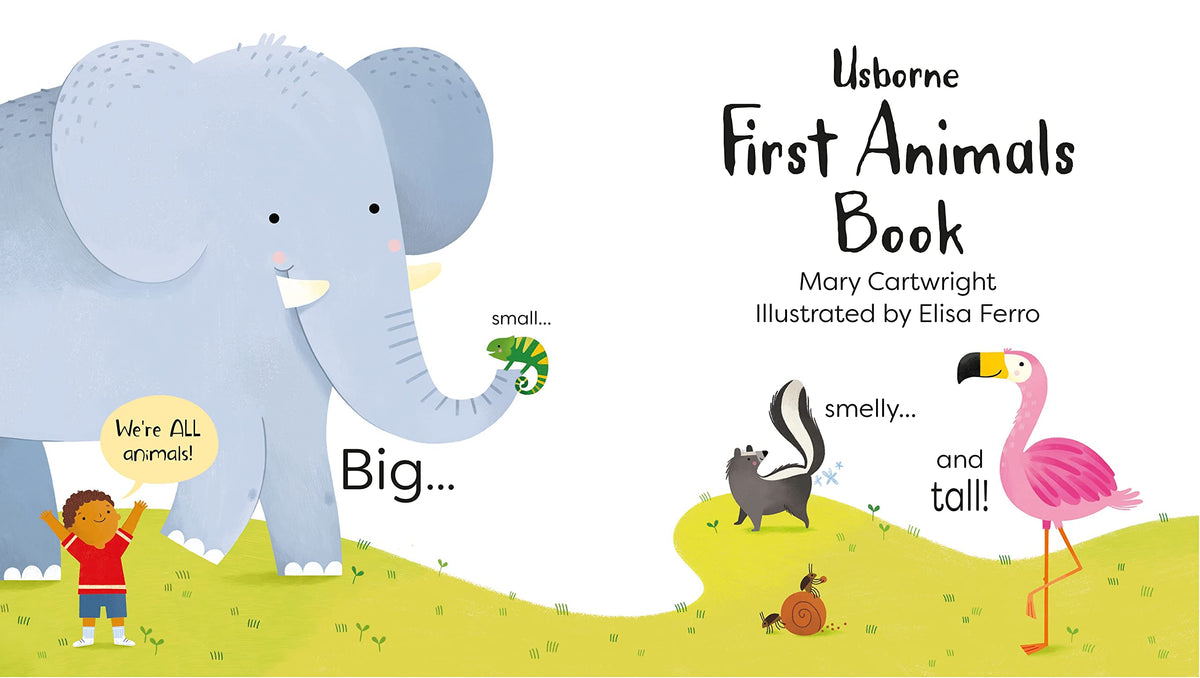 FIRST ANIMALS BOOK (BB) – Internacional Libros . Regalos