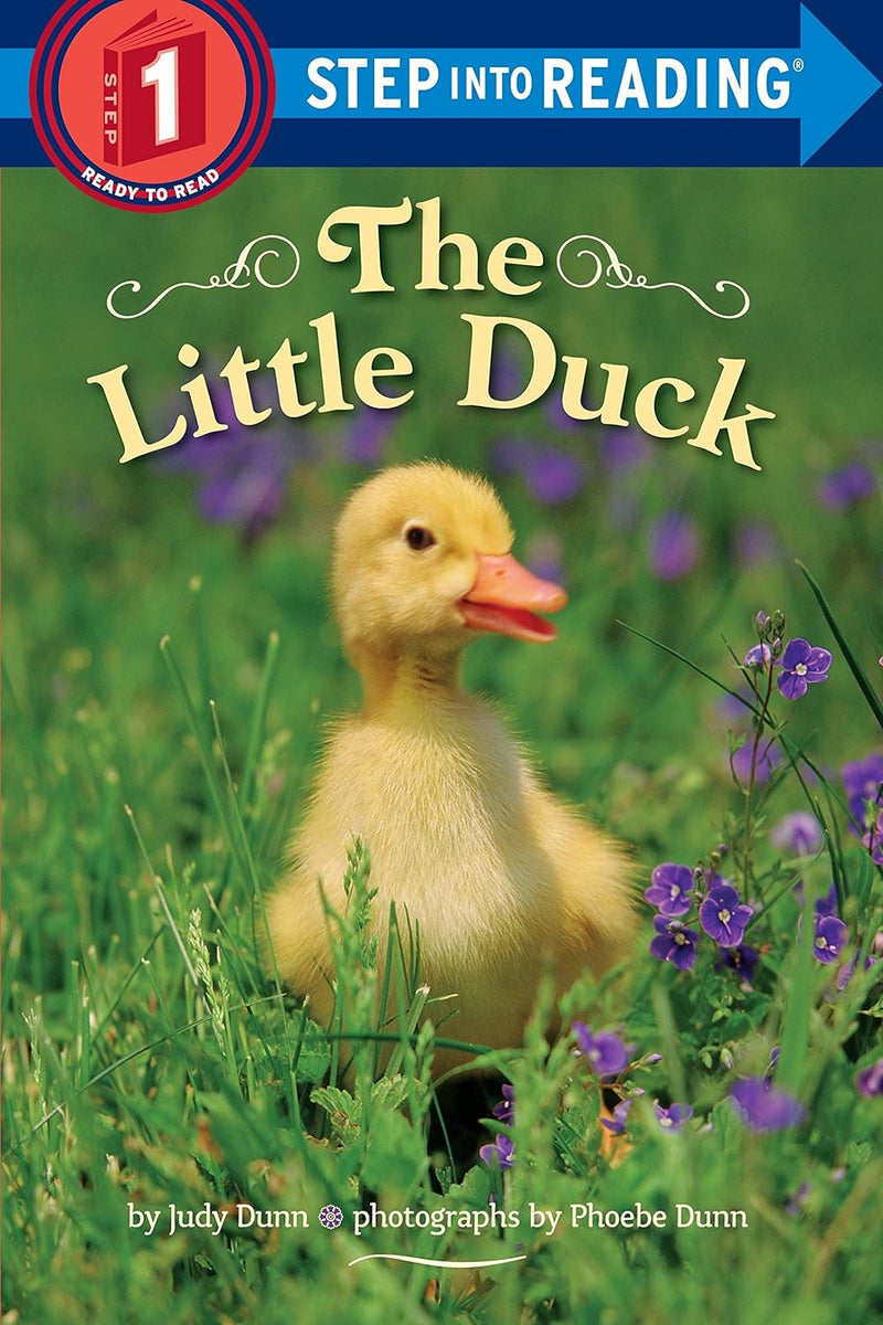 STEP 1 LITTLE DUCK – Internacional Libros . Regalos