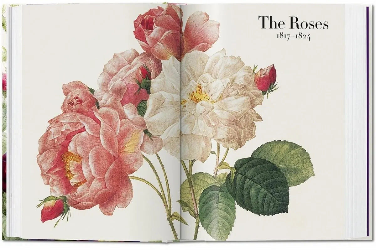 THE BOOK OF FLOWERS (HC) – Internacional Libros . Regalos